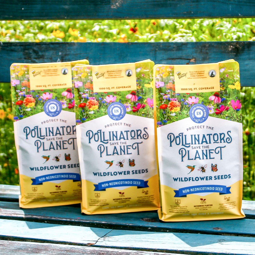 Why We Love Fall Sowing – Buzzy Seeds