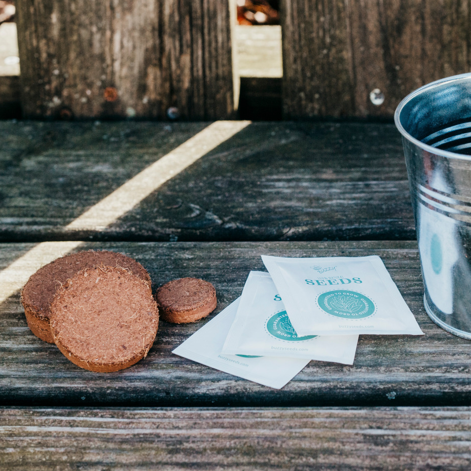 How To Prepare Your Growing Medium – Buzzy Seeds