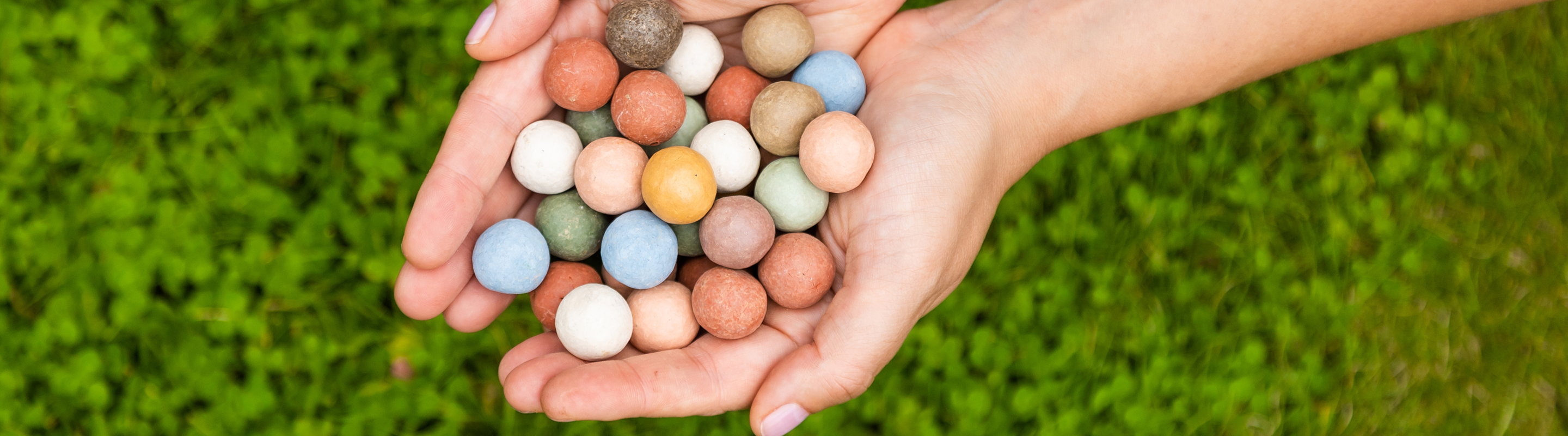 Wildflower Seed Balls – Buzzy Seeds
