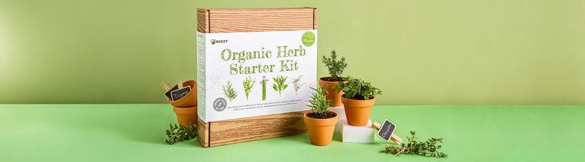Culinary Grow Kits – Buzzy Seeds