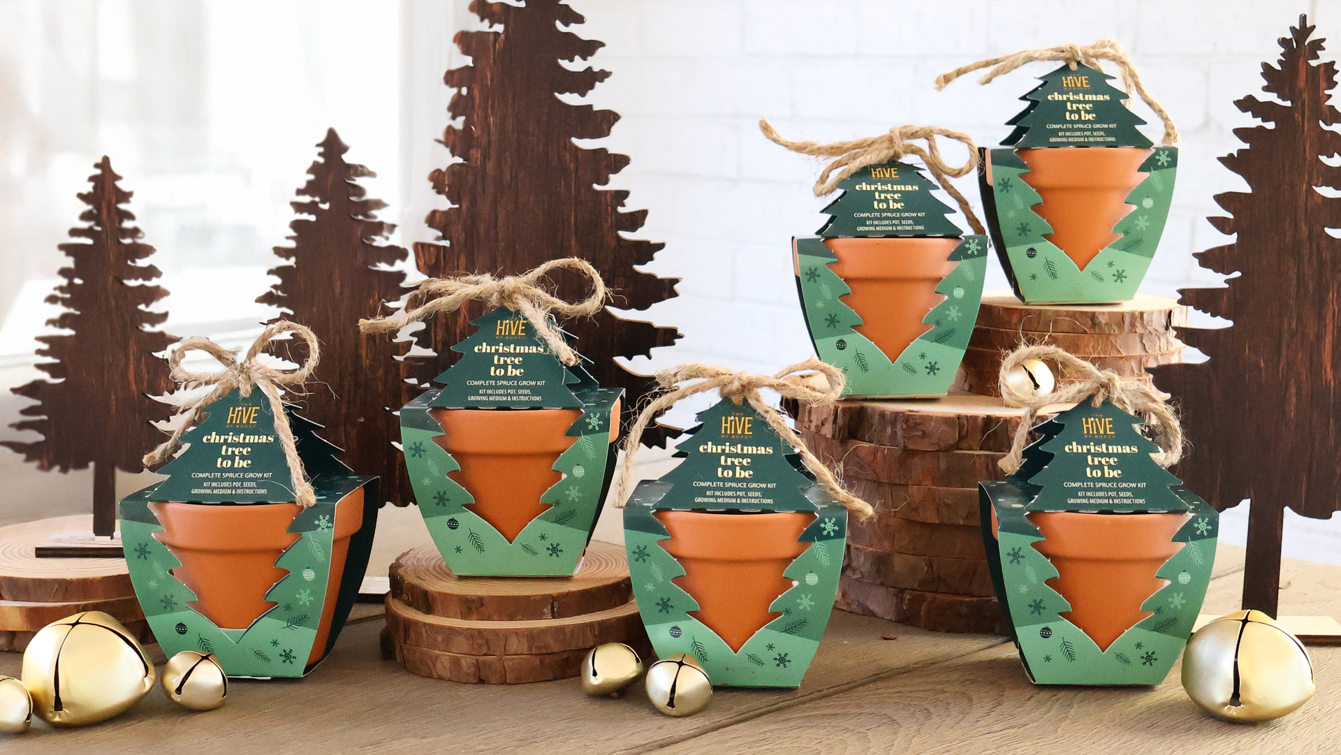 Buzzy Seeds: All-in-one Grow Kits For Every Occasion