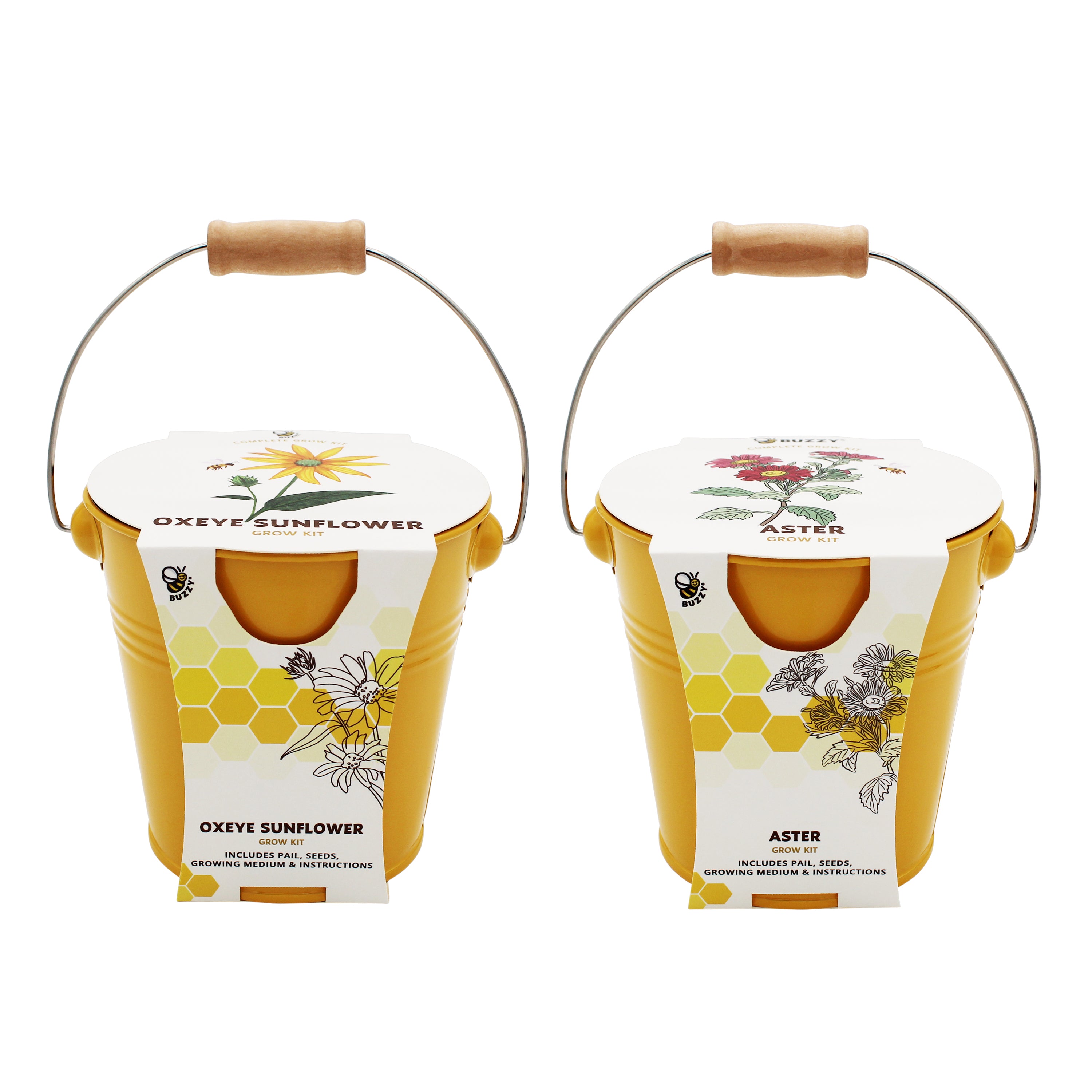 Pollinator Grow Kit | 2-Pack with Aster & Sunflower Seeds and Yellow P ...