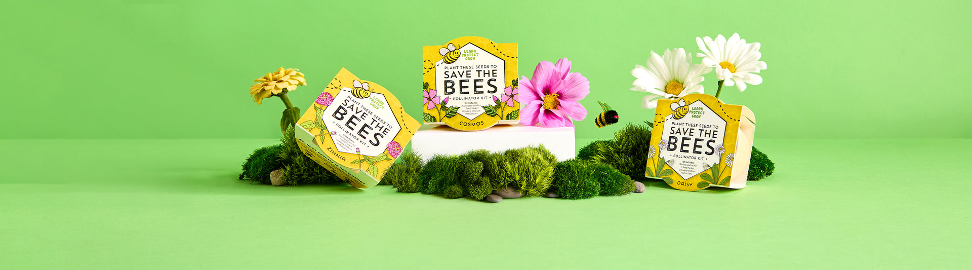 Buzzy Seeds: All-in-one Grow Kits For Every Occasion